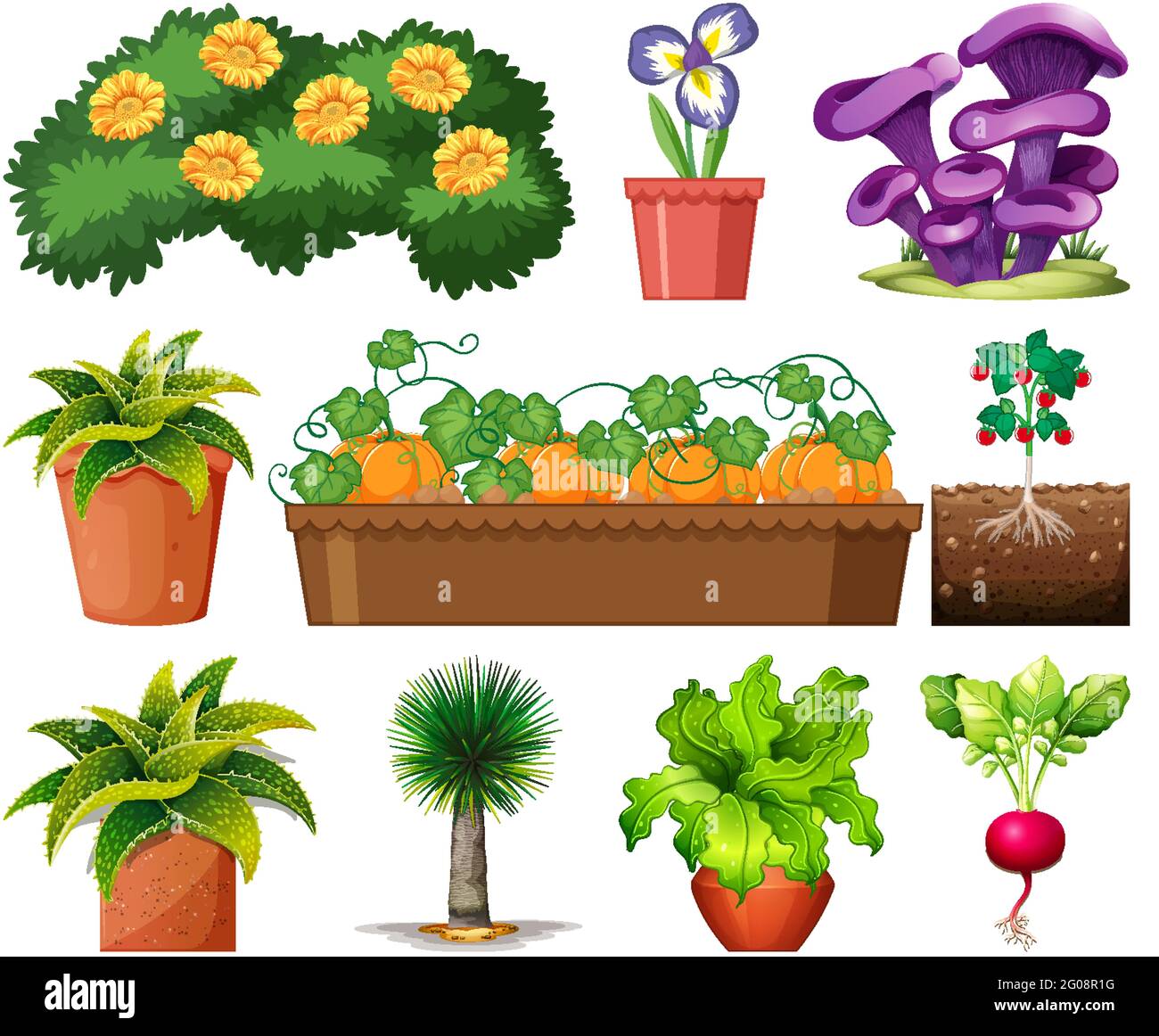 Set of different plants in pots isolated on white background ...