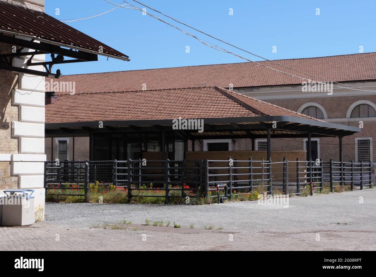 Slaughterhouse Animals Outside