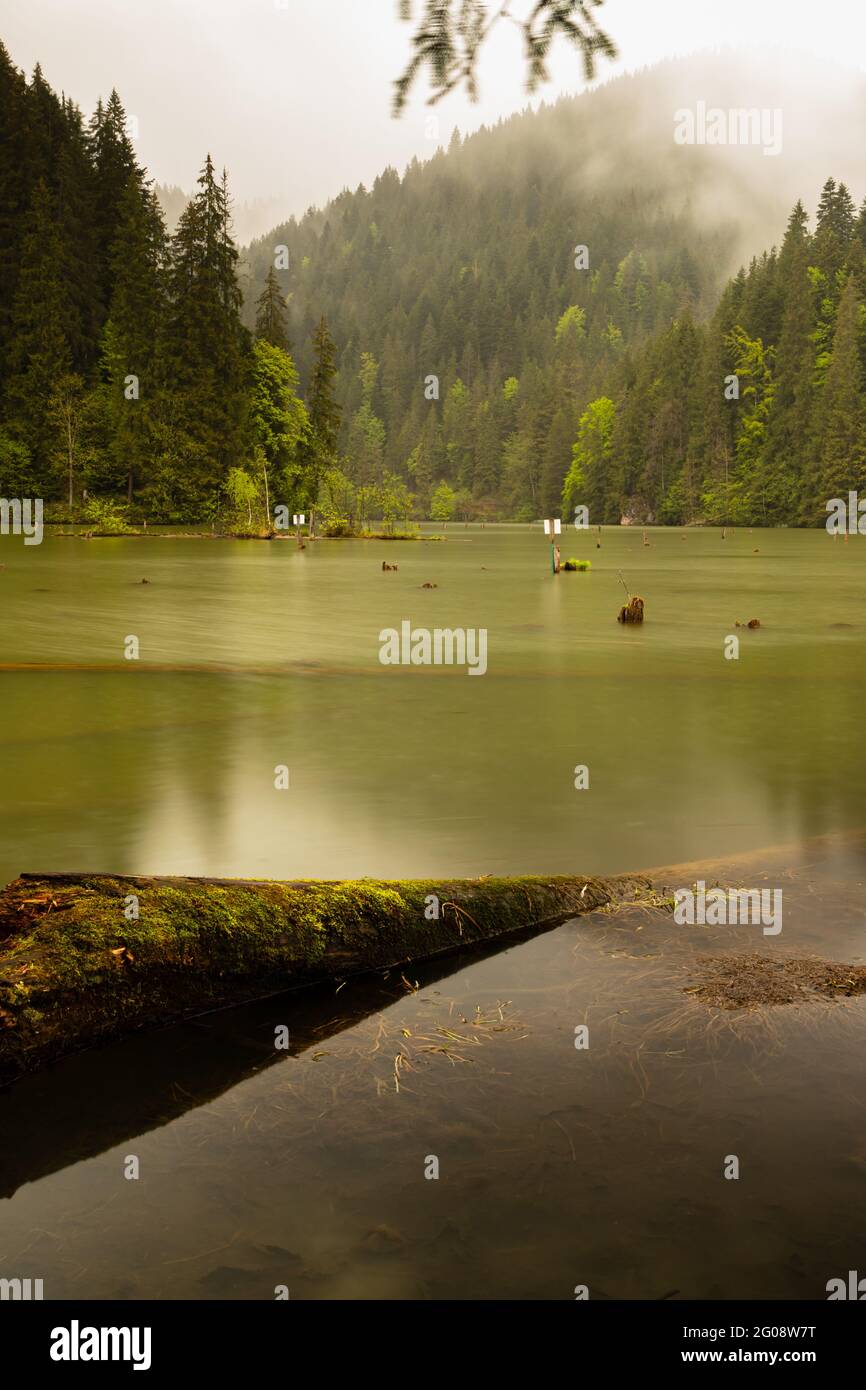 lake in the mountains. Red lake, Romania. Natural lake Stock Photo - Alamy