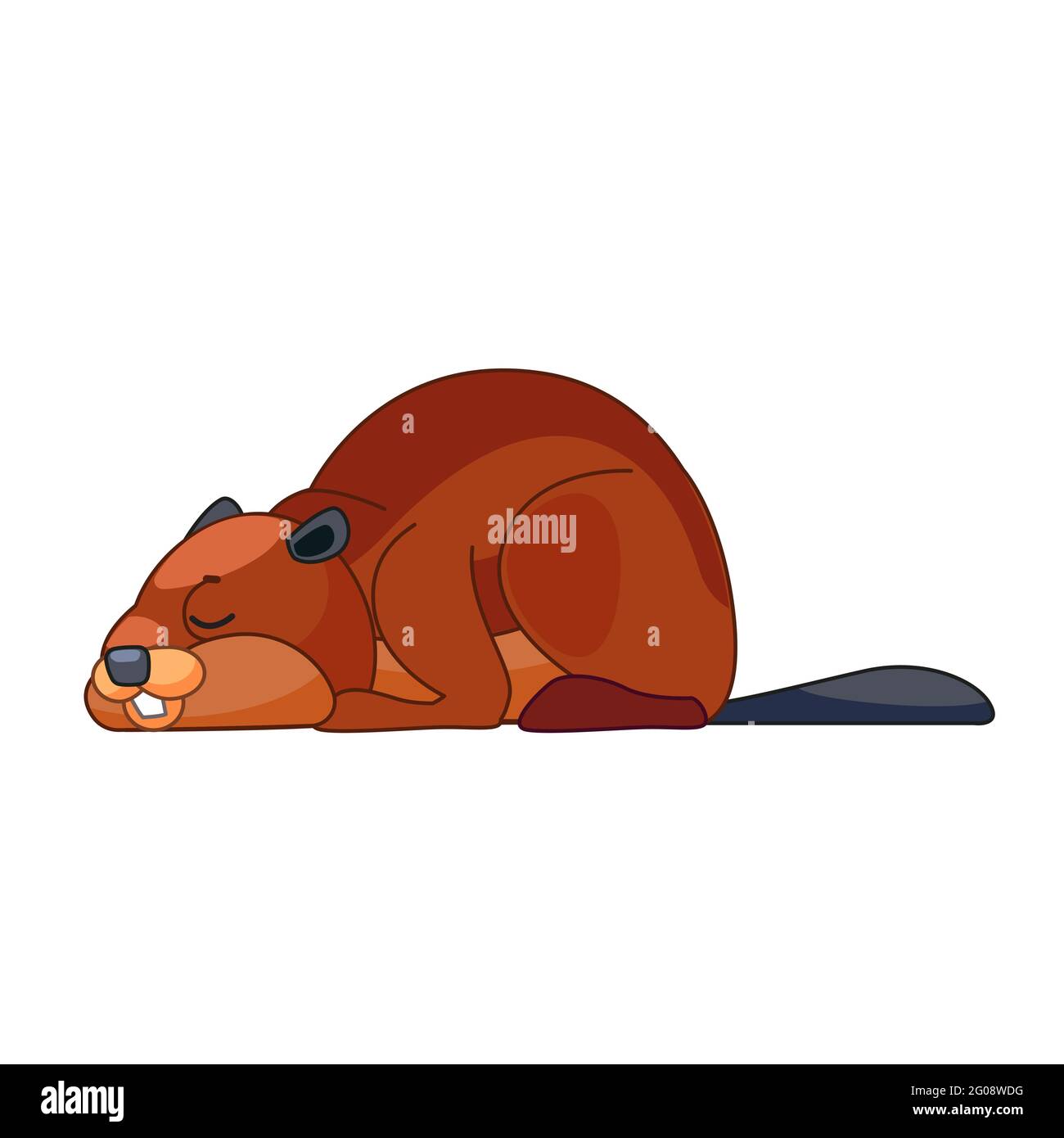 Beaver animal side view Stock Vector Images - Alamy