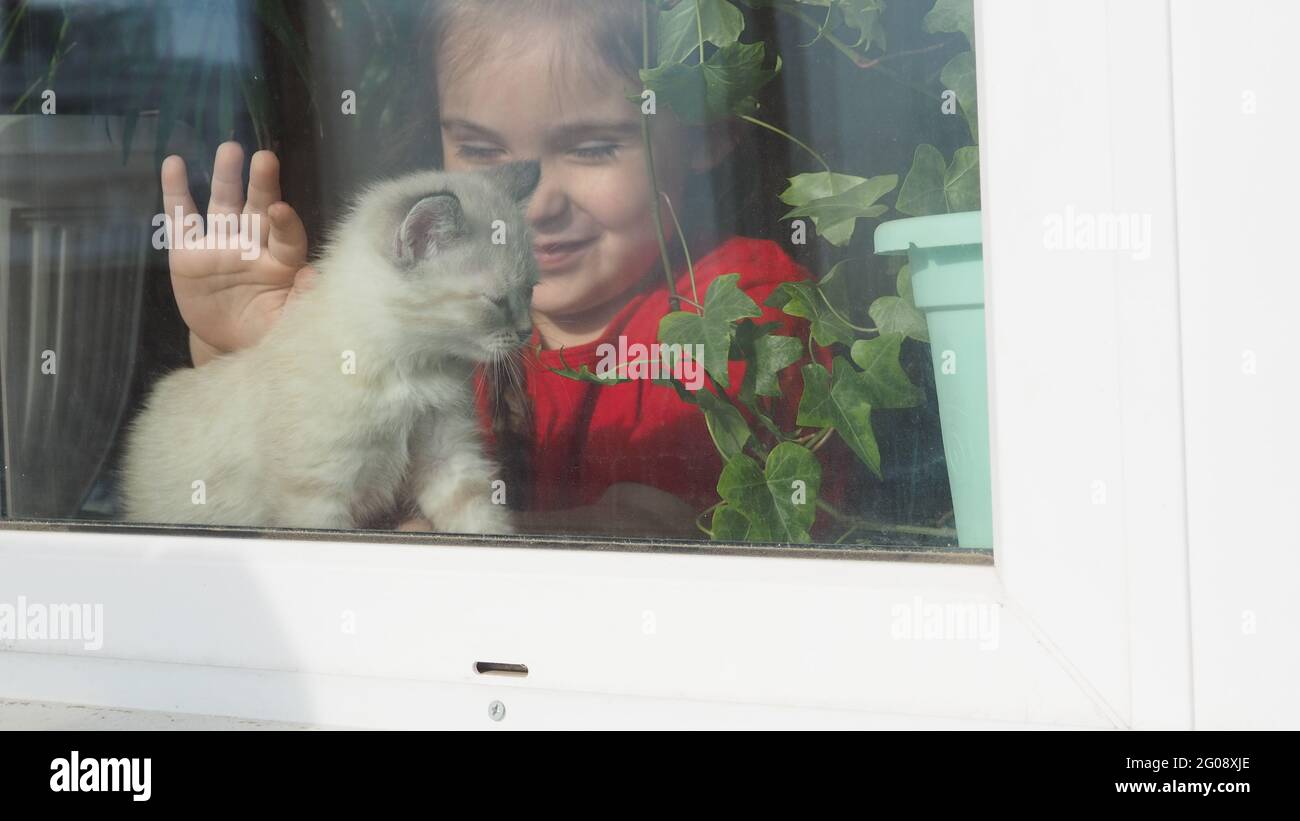 Beautiful little girl smiling and watching out the window. A child ...