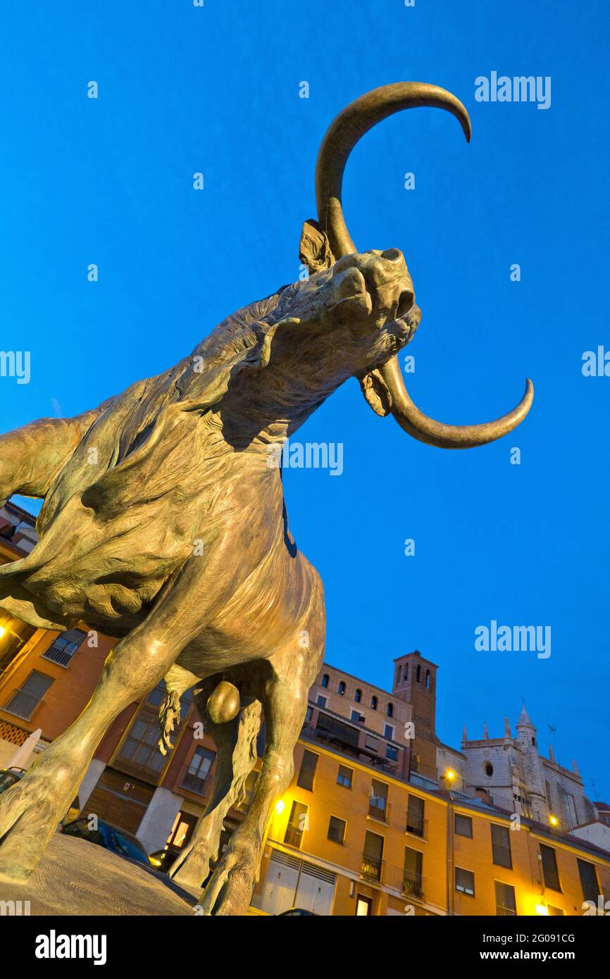 Toro vega hi-res stock photography and images - Alamy