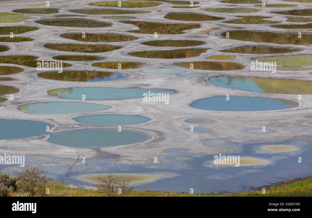Spotted lake hi-res stock photography and images - Alamy