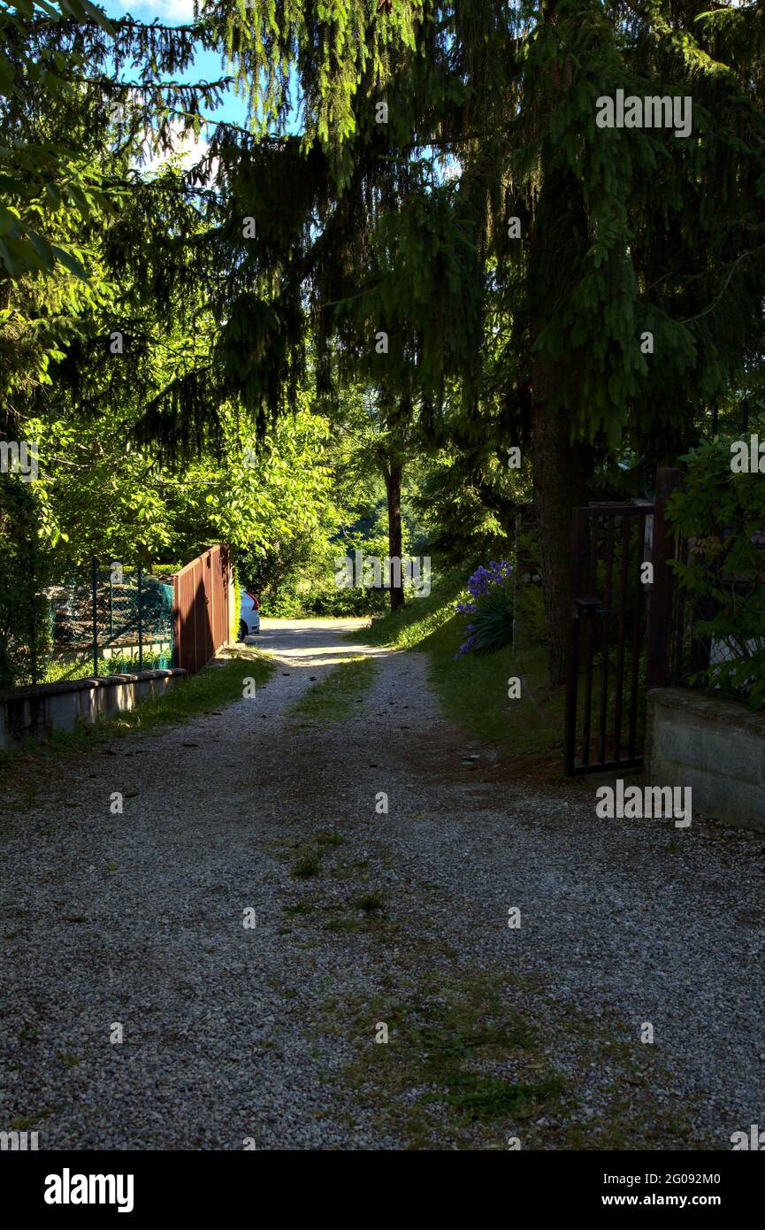 Forest path at mountain slope hi-res stock photography and images - Alamy
