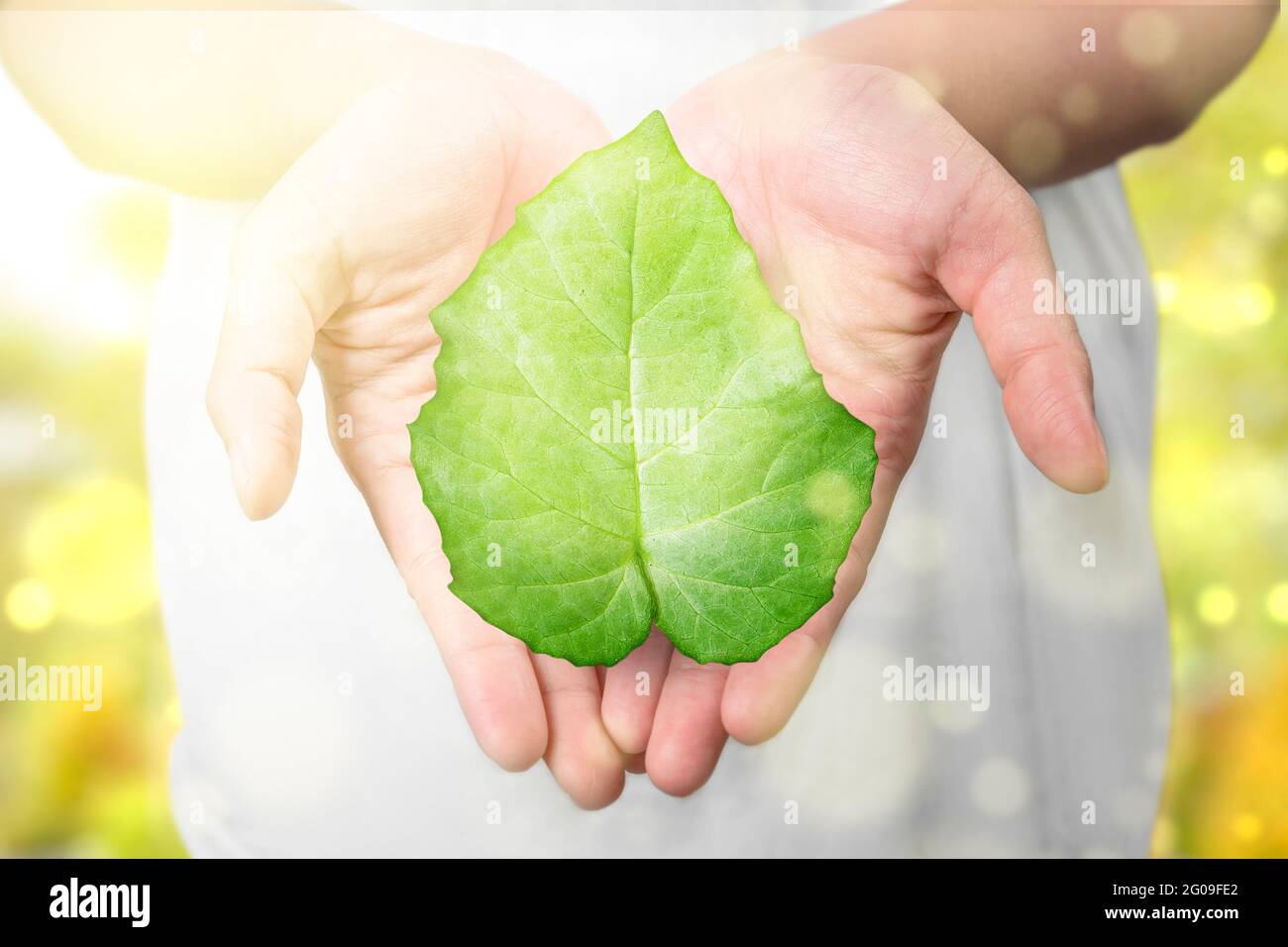 Human hand holding the green leaf. World environment day Stock Photo ...