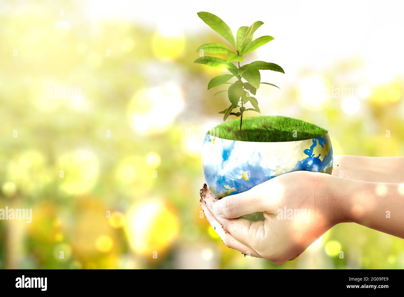 Human hands holding the earth with growing plants above it. World ...