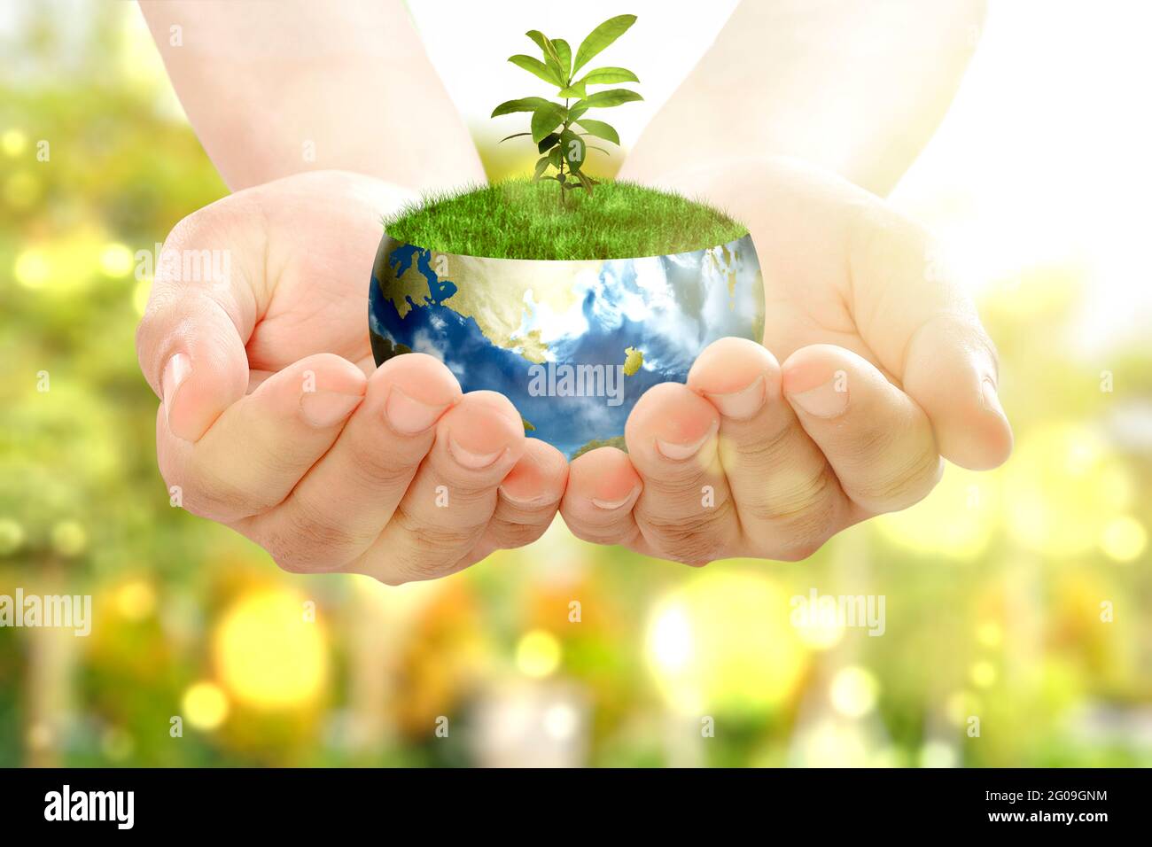 Human hands holding the earth with growing plants above it. World ...