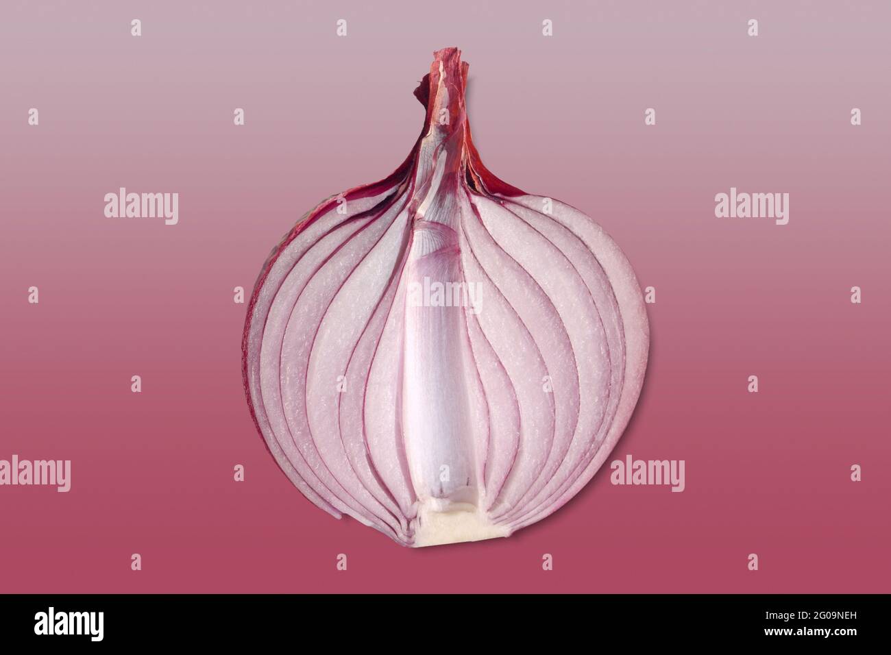 red onion over a matching colour gradient background Stock Photo - Alamy
