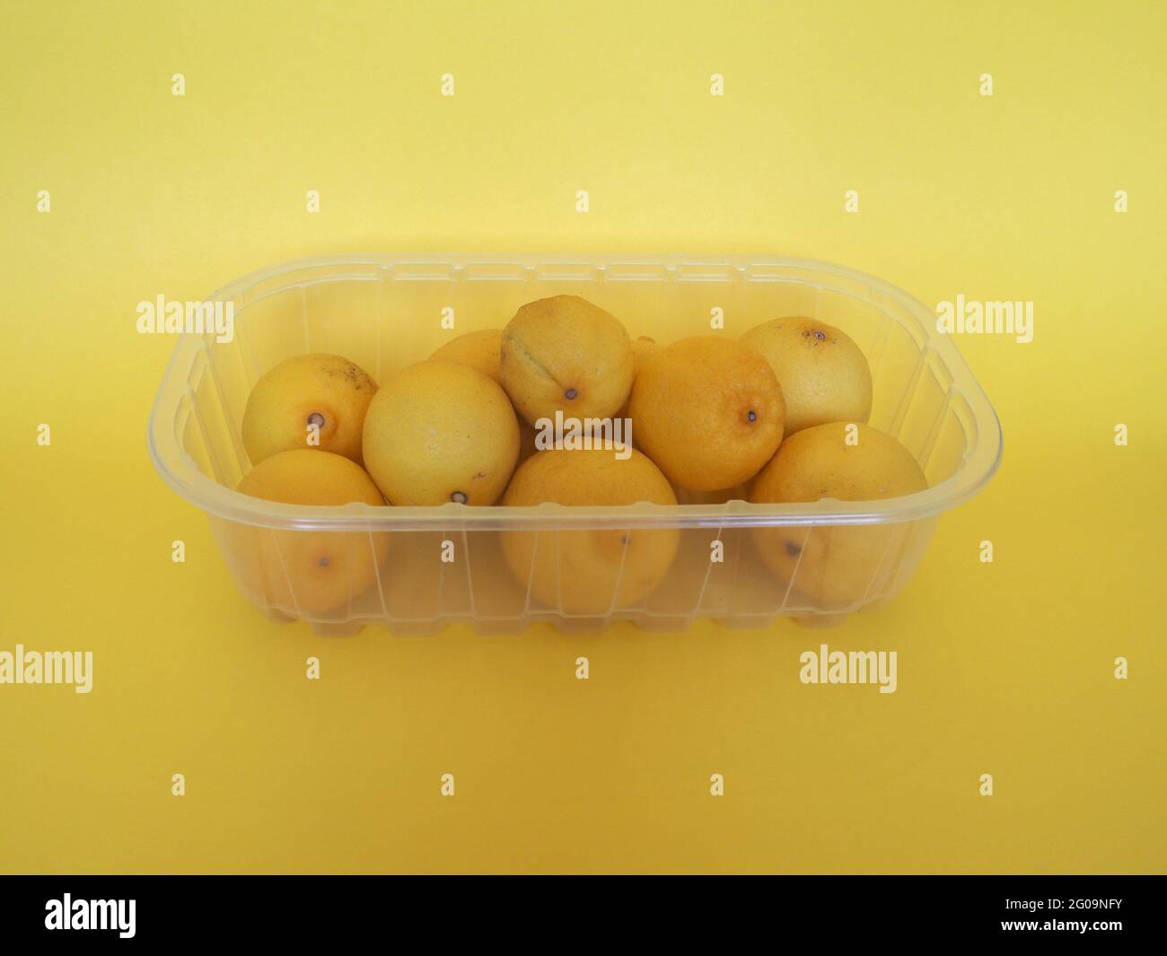 lemon fruits (scientific name Citrus limon) in plastic box over yellow ...