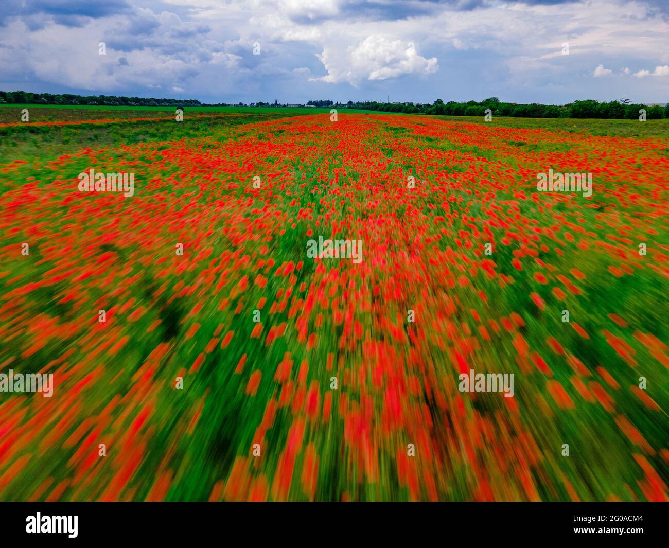 Red poppy field with motion blur. Creative drone photo Stock Photo - Alamy