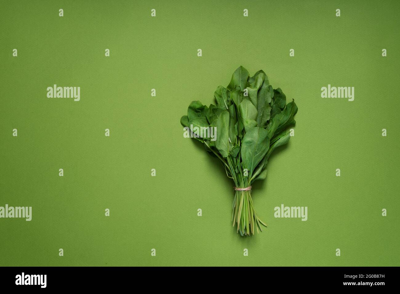 Raw sorrel leaves top view green vegetable background. Spring green ...