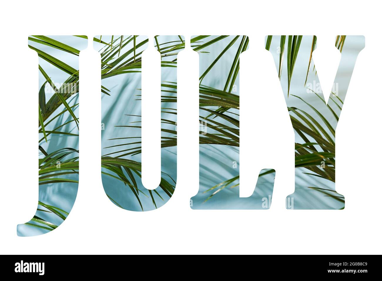Words July made of palm leaves on blue background. summer months Stock ...