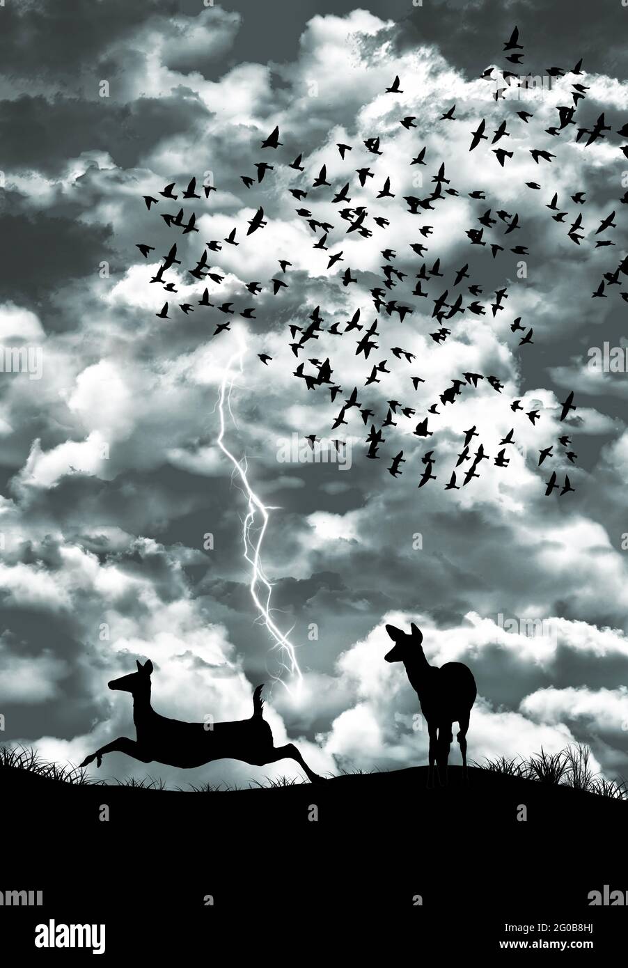 Thunder and lightning from an approaching storm frightens wildlife ...