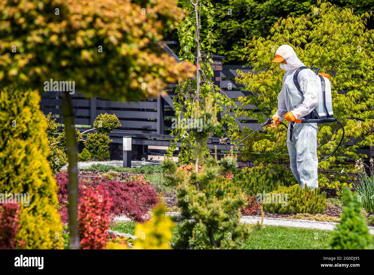 Fungicides of Backyard Garden Plants by Professional Garden Worker ...