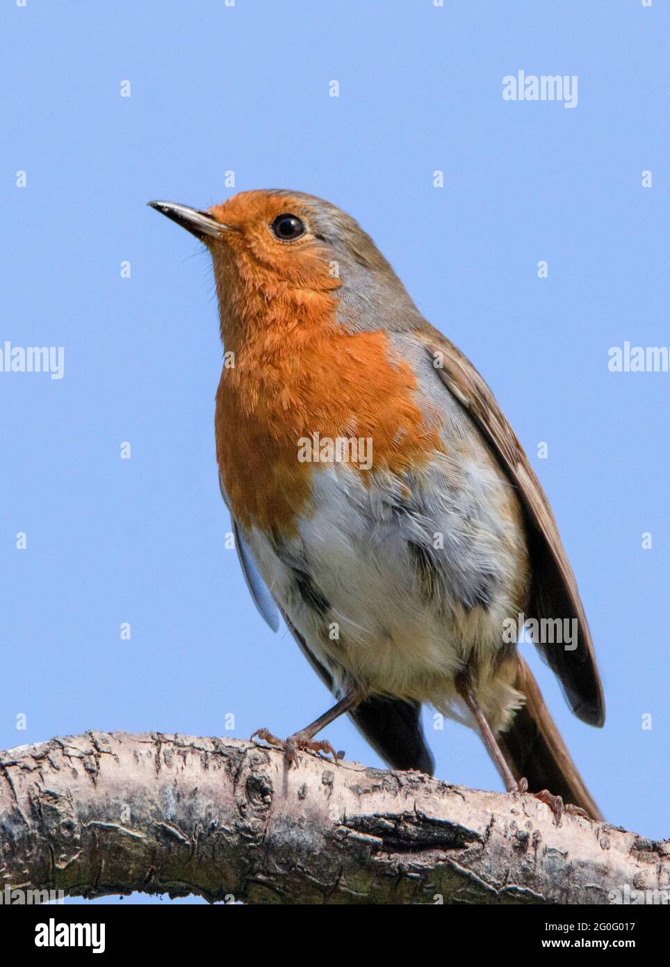 Spring summer 2021 hi-res stock photography and images - Alamy