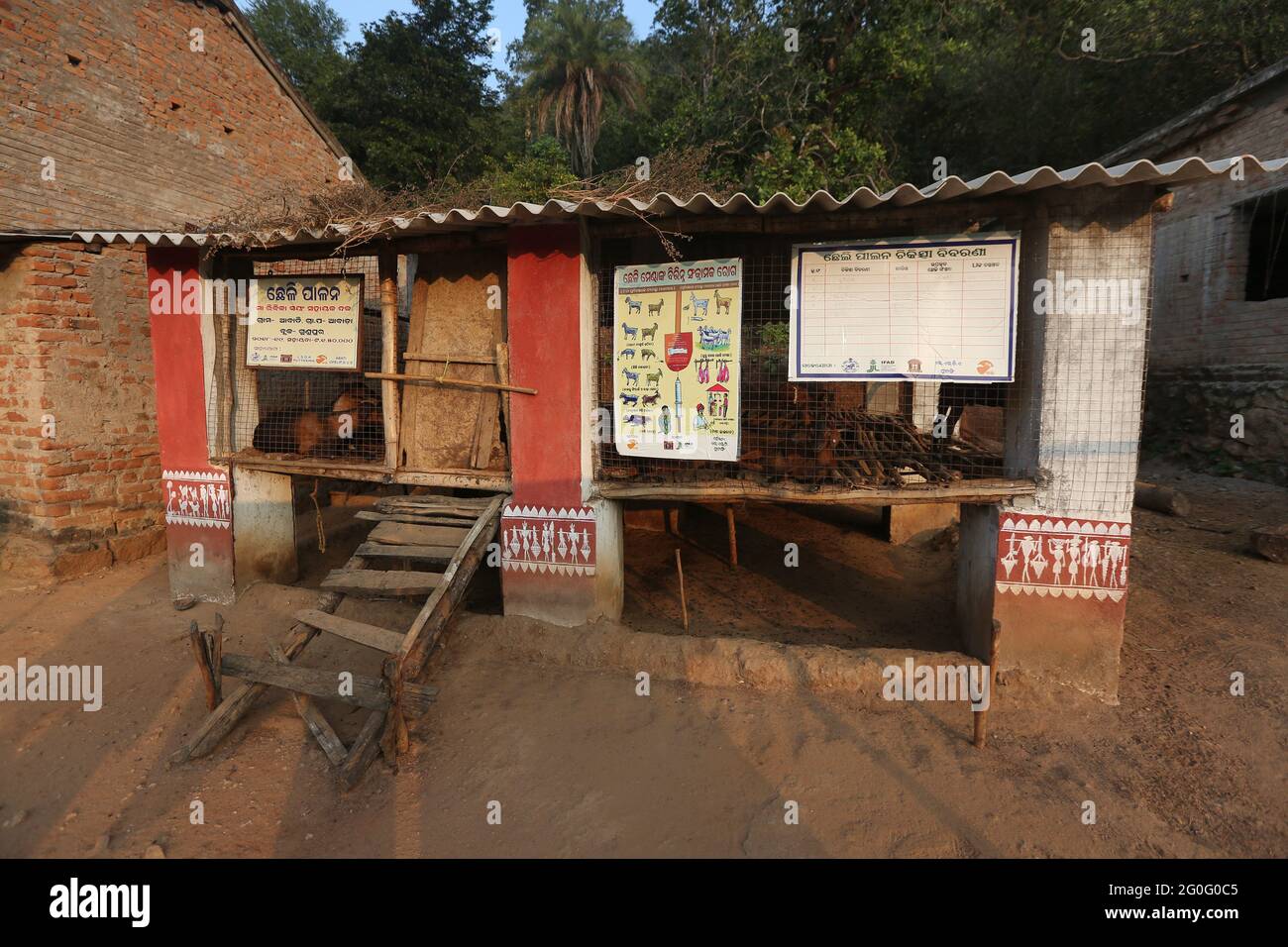 LANJIA SAORA TRIBE. Goat house. Gunpur Village of Odisha, India Donated ...