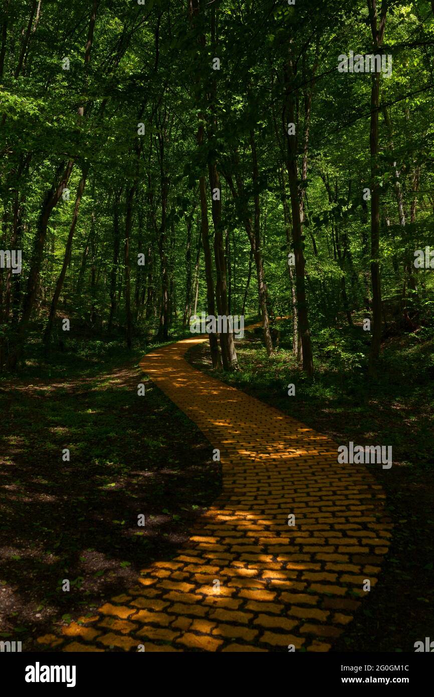 Forest road made of yellow bricks, dark shadows under the trees with ...