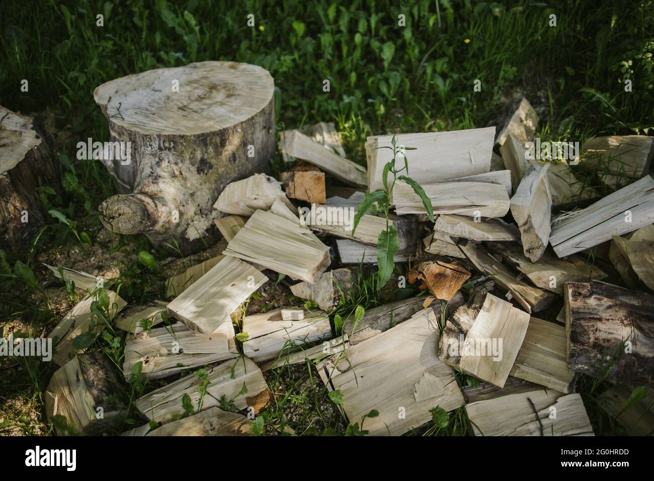 Stack many firewoods hi-res stock photography and images - Alamy