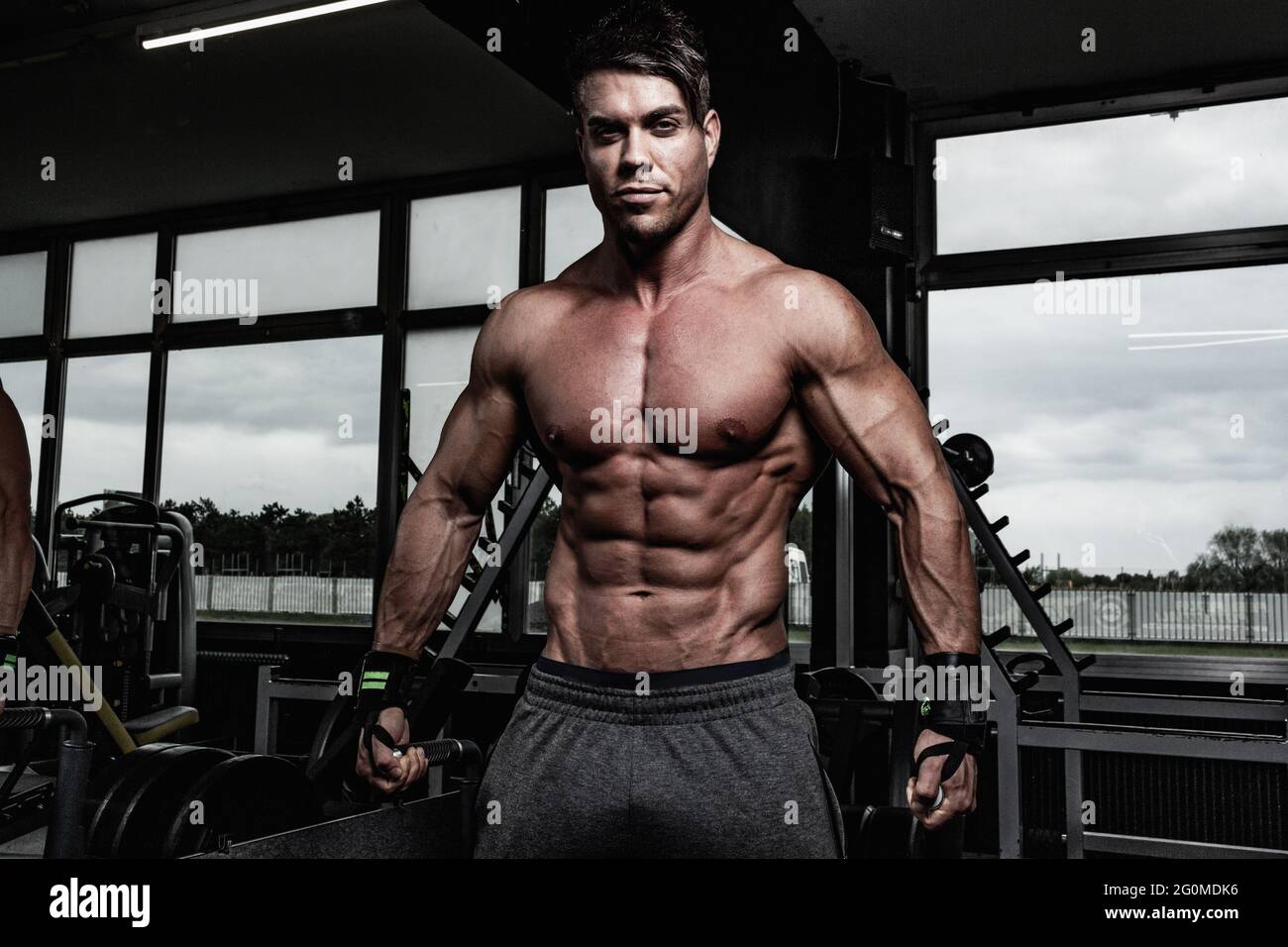 Fit male bodybuilder posing in a gym Stock Photo - Alamy
