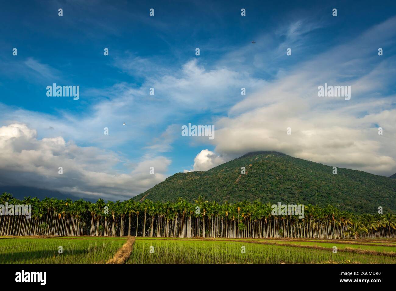 Velliangiri mountains hi-res stock photography and images - Alamy