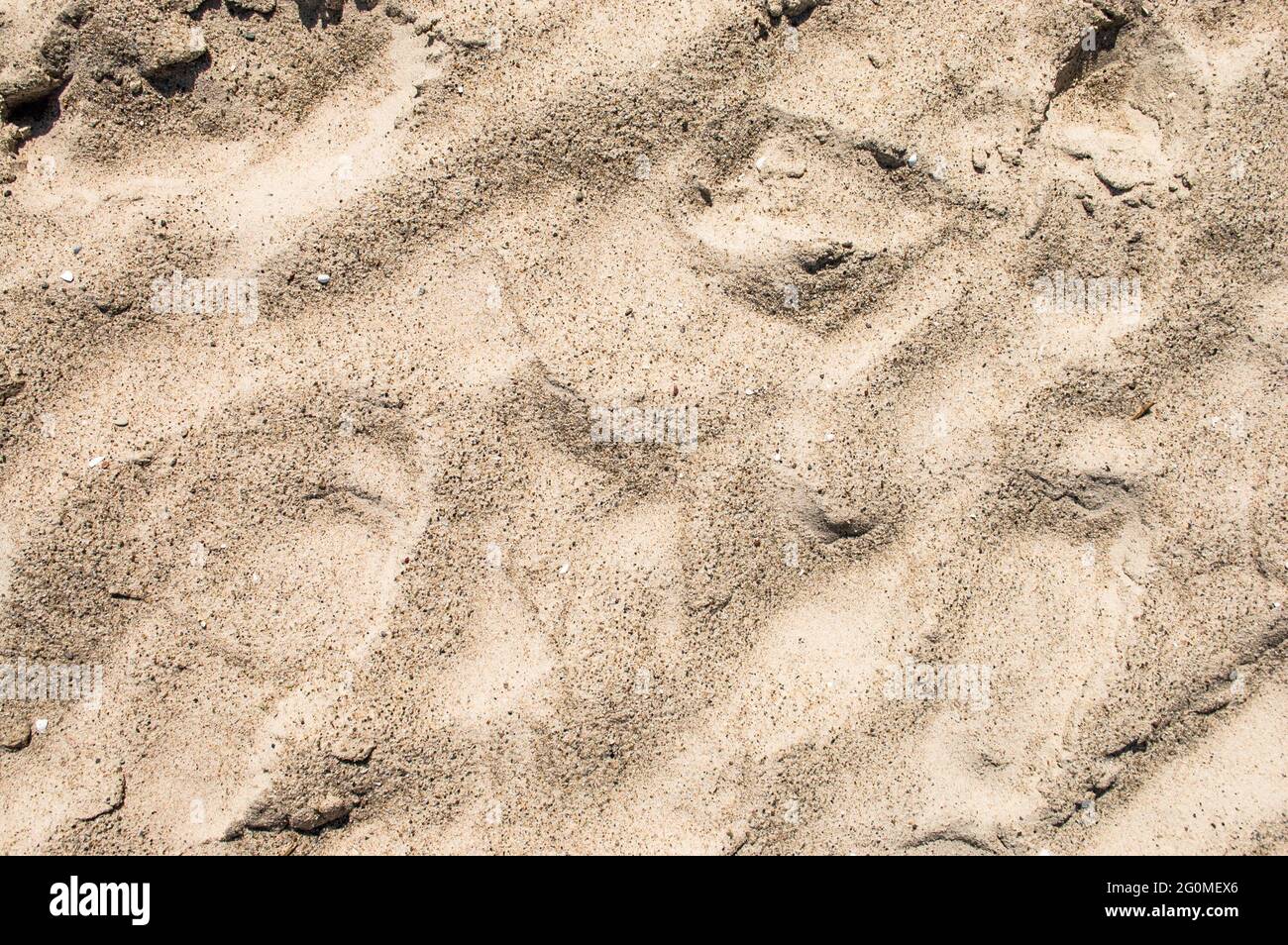 Background texture of sandy beach with traces Stock Photo - Alamy
