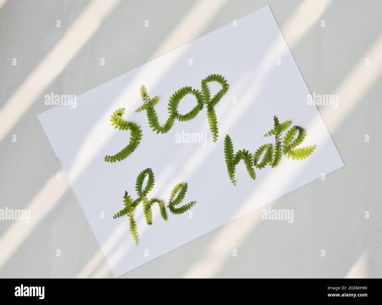 Stop hate symbol hi-res stock photography and images - Alamy