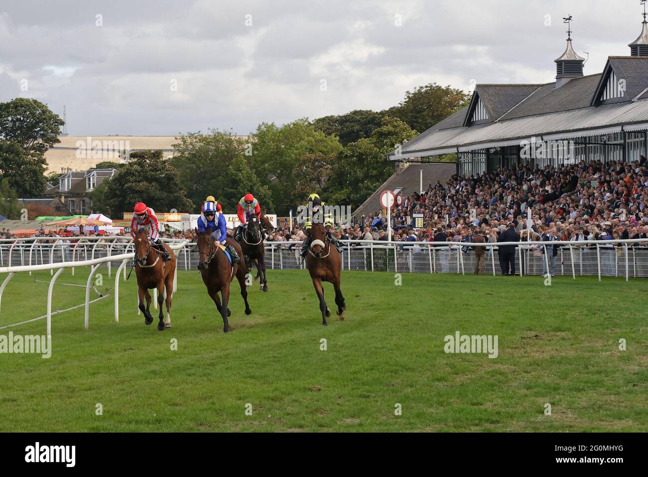 Running horse and jockey hi-res stock photography and images - Alamy