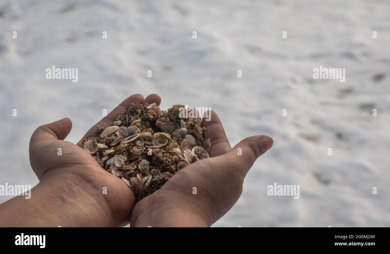 Kerala sea shells hi-res stock photography and images - Alamy