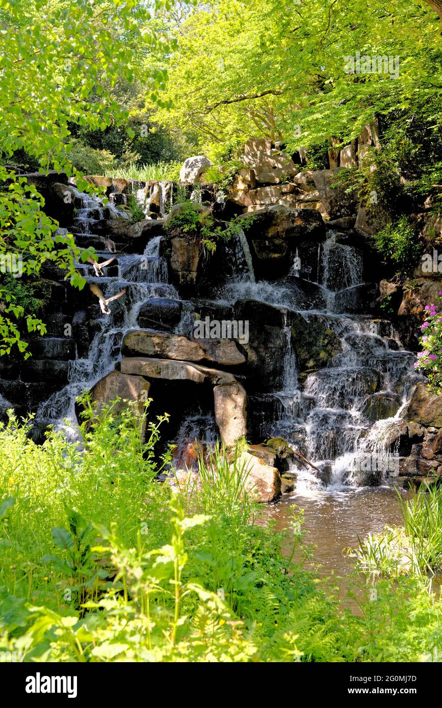 Travel Destination UK - Virginia Water Cascade, Windsor Great Park ...
