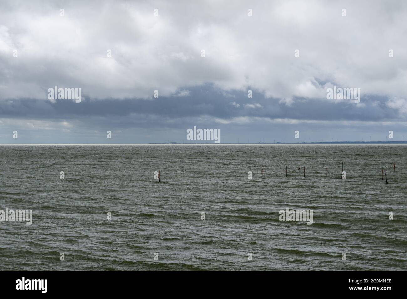 typical Wadden Sea landscape in the northern Netherlands near Den Oever ...