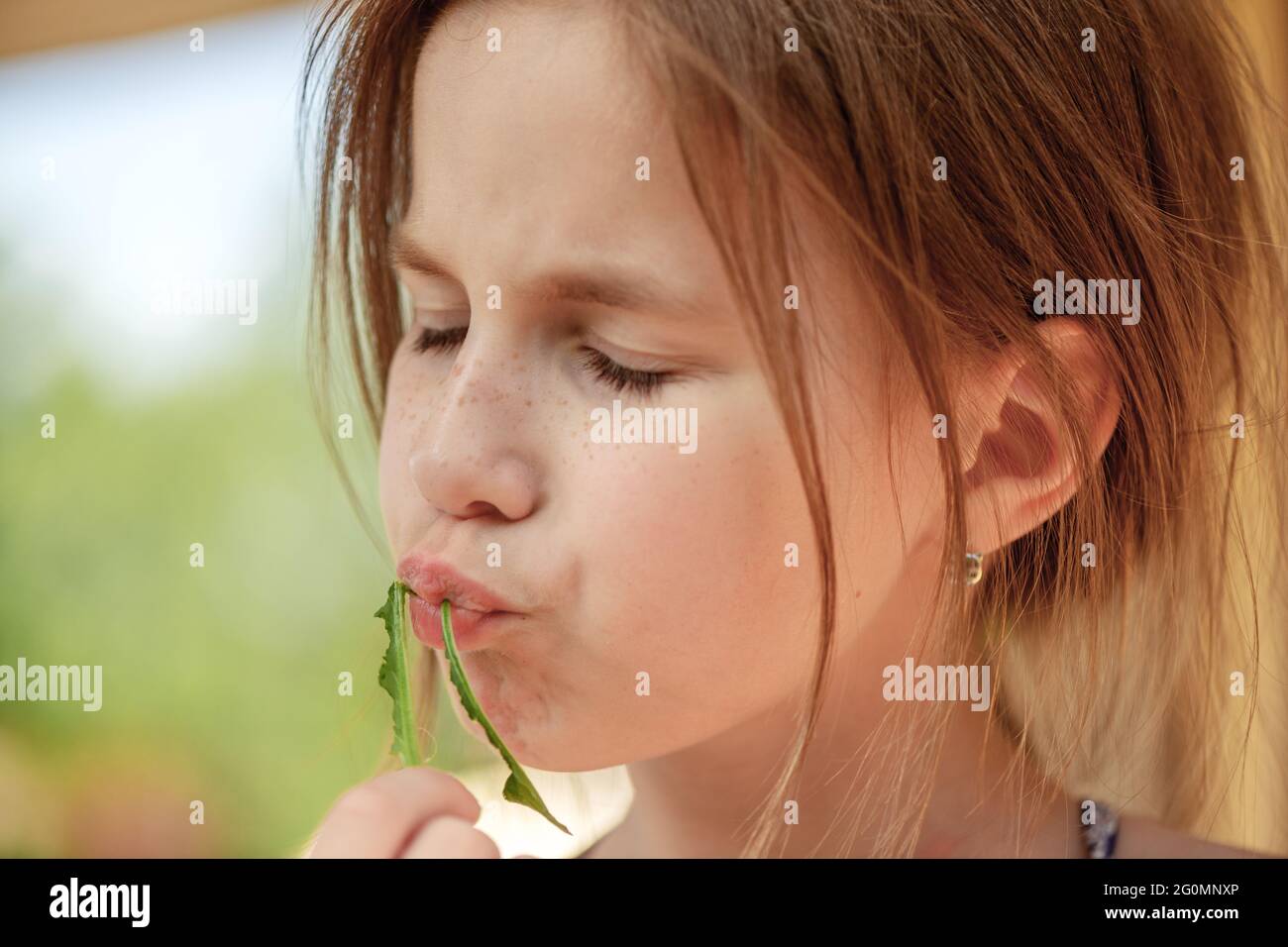 little cute Girl eats green leaf of sorrel outdoors. organic, raw ...