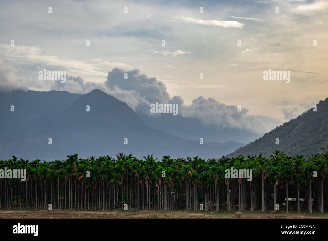 Mountains Velliangiri view with blue sky and green forest image taken ...