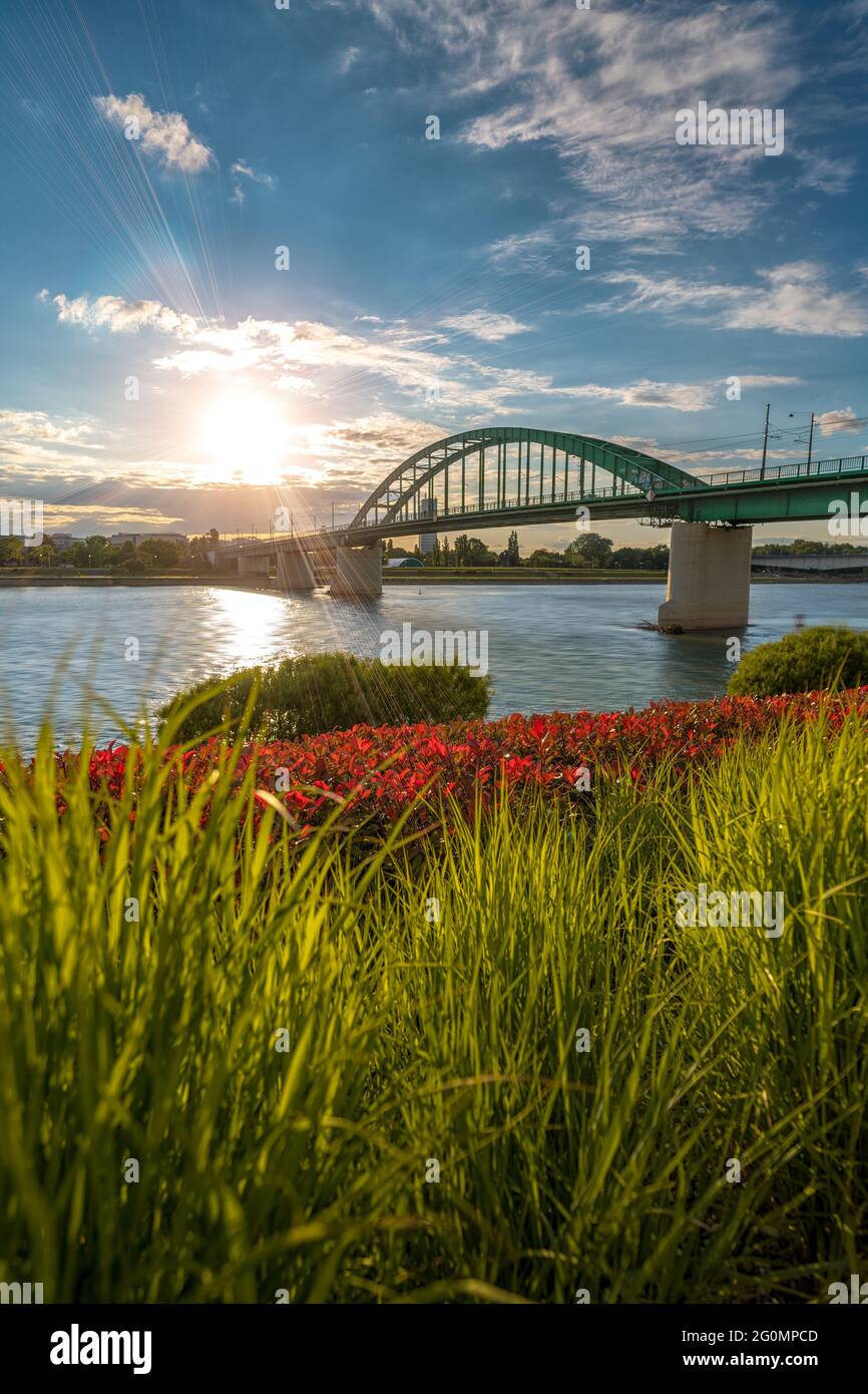 Vertical shot of tram bridge in Belgrade waterfront Stock Photo - Alamy