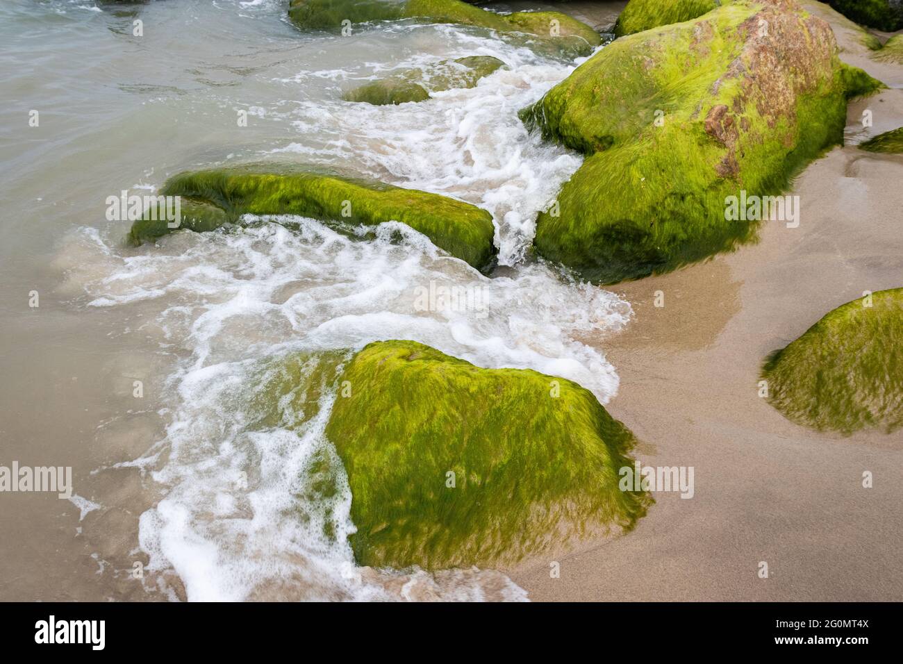 Roca kerala hi-res stock photography and images - Alamy