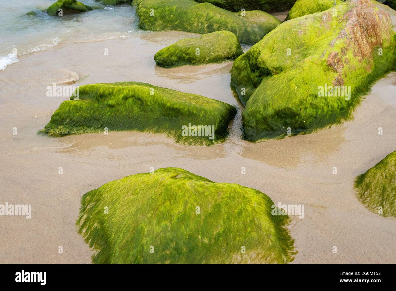 Roca kerala hi-res stock photography and images - Alamy