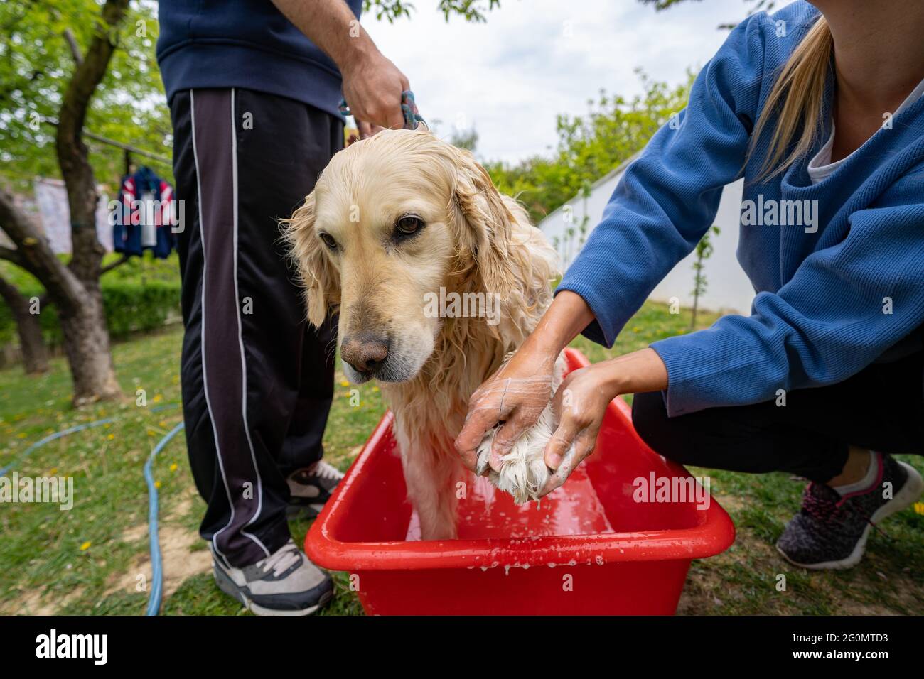 Couple shower dog hi-res stock photography and images - Alamy