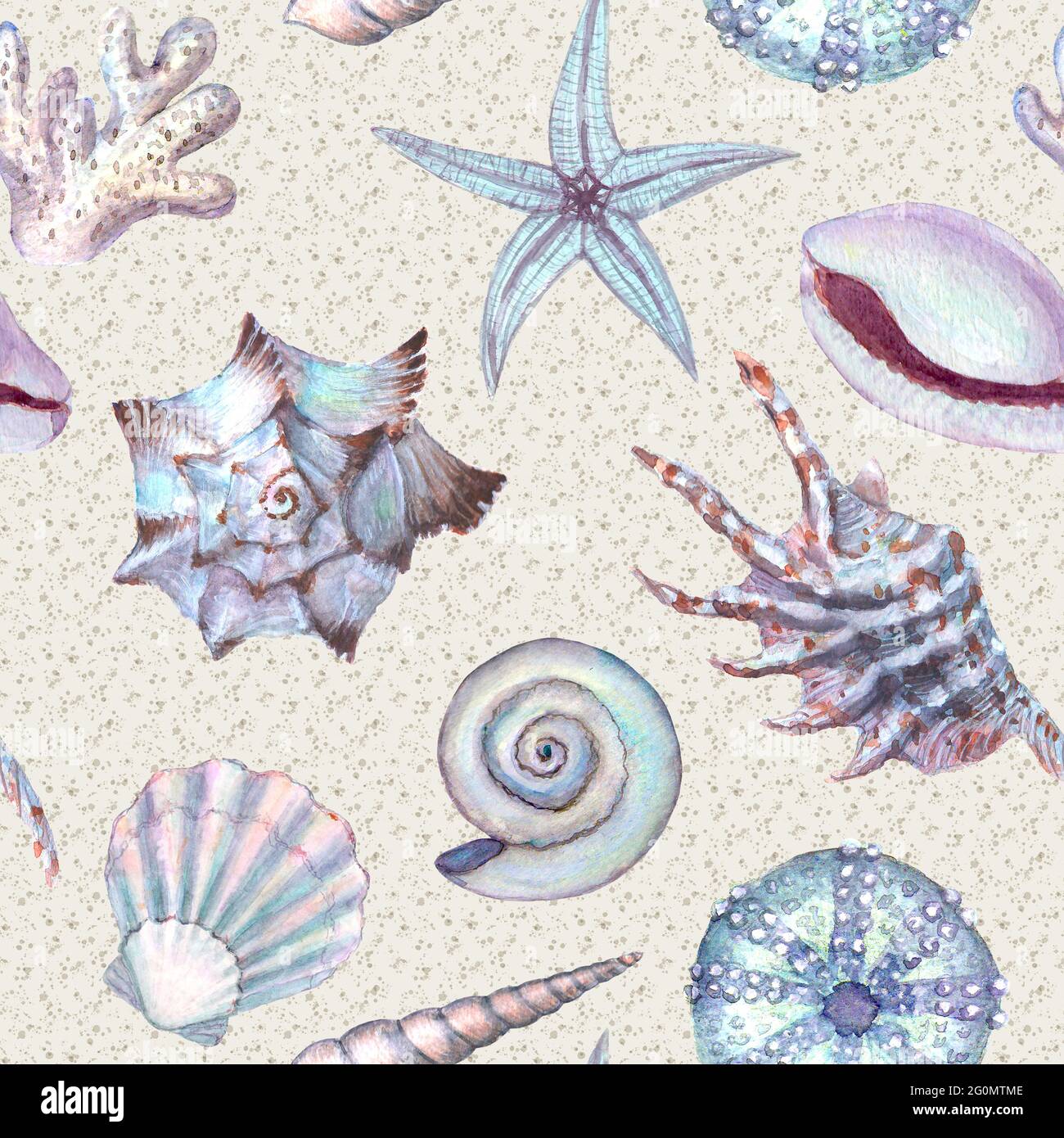 Watercolor sea shell seamless pattern. Hand drawn seashells texture ...