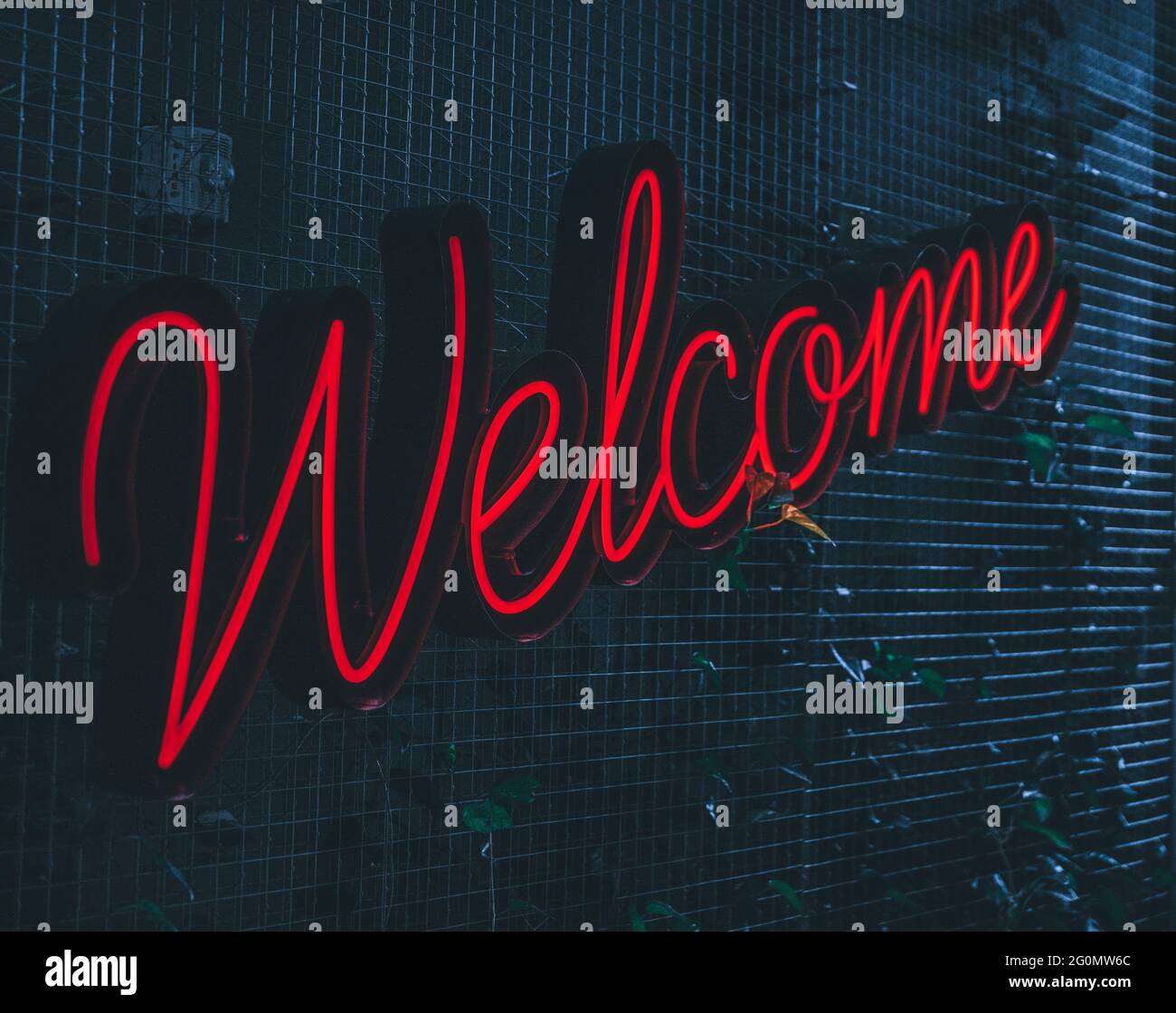 "Welcome" neon light sign hanging on a wall Stock Photo - Alamy