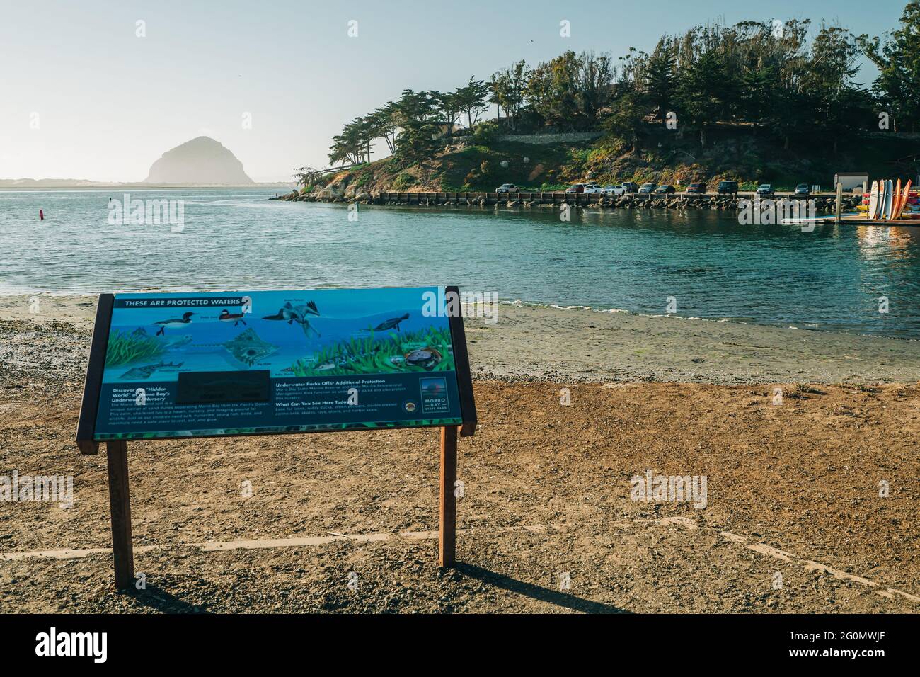 Morro Bay, California, USA - May 27, 2021 Morro Bay State Park ...