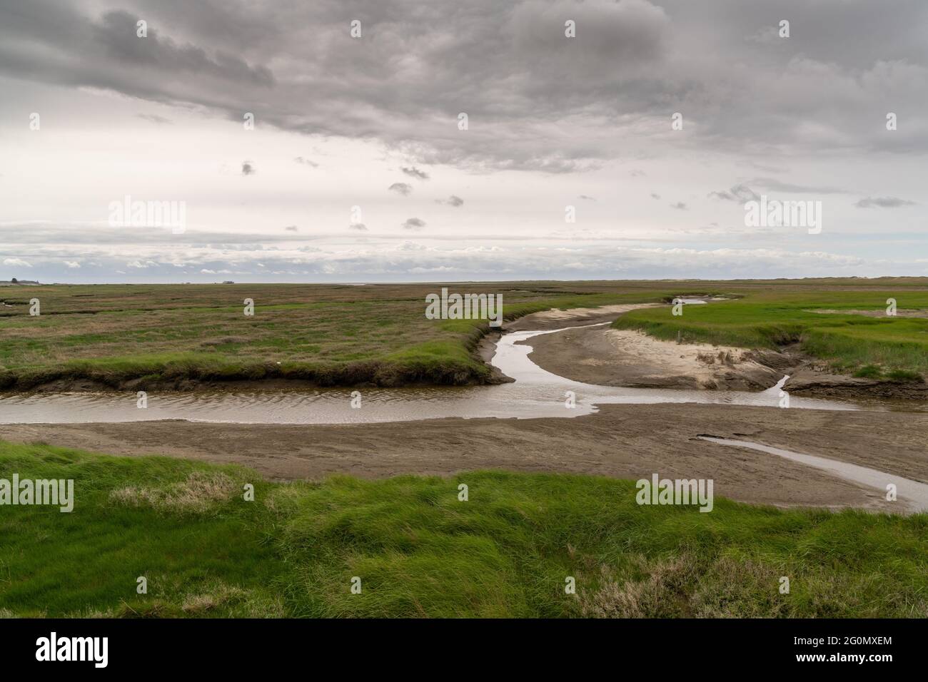 saltmarsh landscape with inlets and green reeds and grasses on the ...