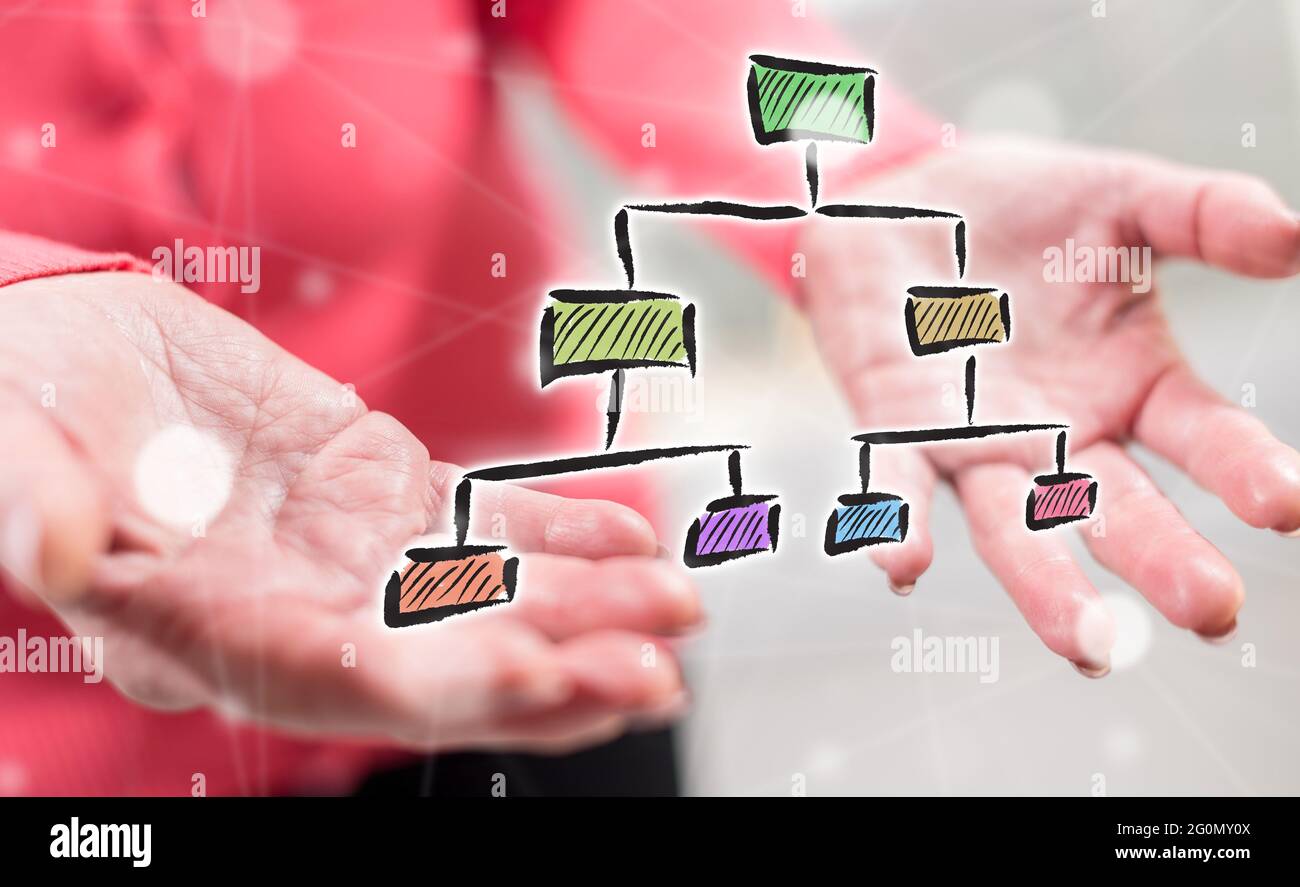 Organizational chart concept above the hands of a woman in background ...