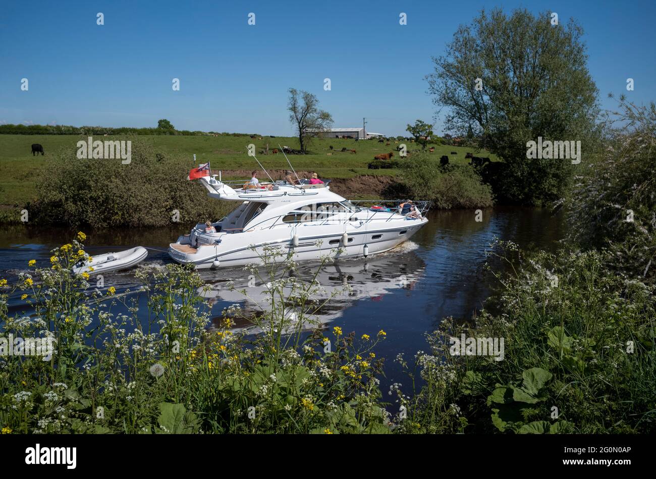 Land cruiser on landscape hi-res stock photography and images - Alamy