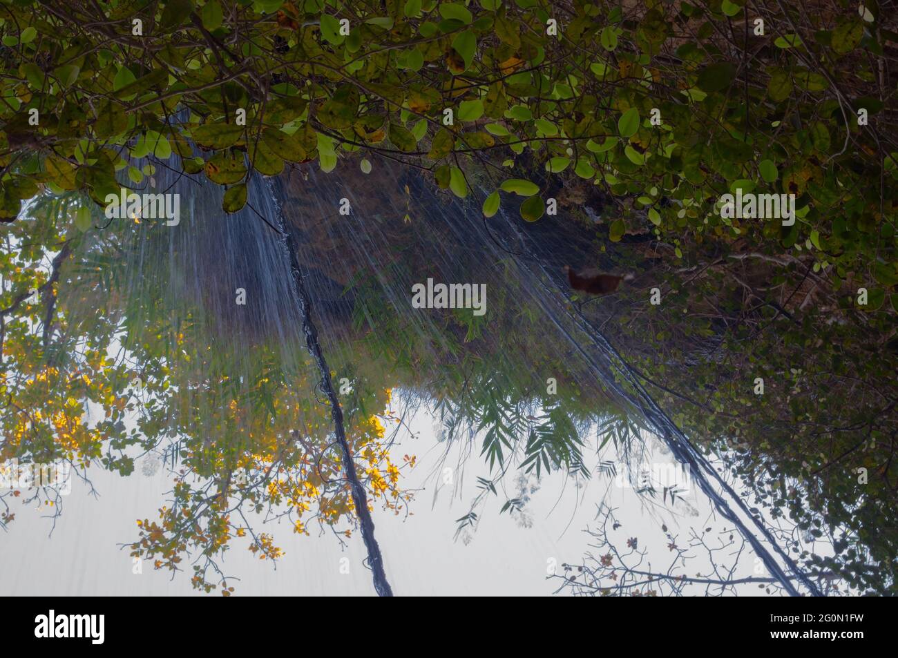 Pandab falls hi-res stock photography and images - Alamy