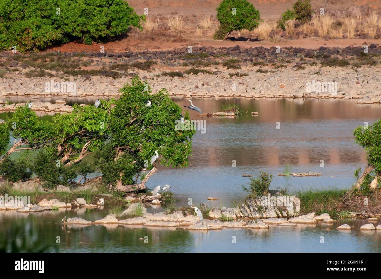 Beautiful Panna river and rocky riverbed at Panna National Park, Madhya ...