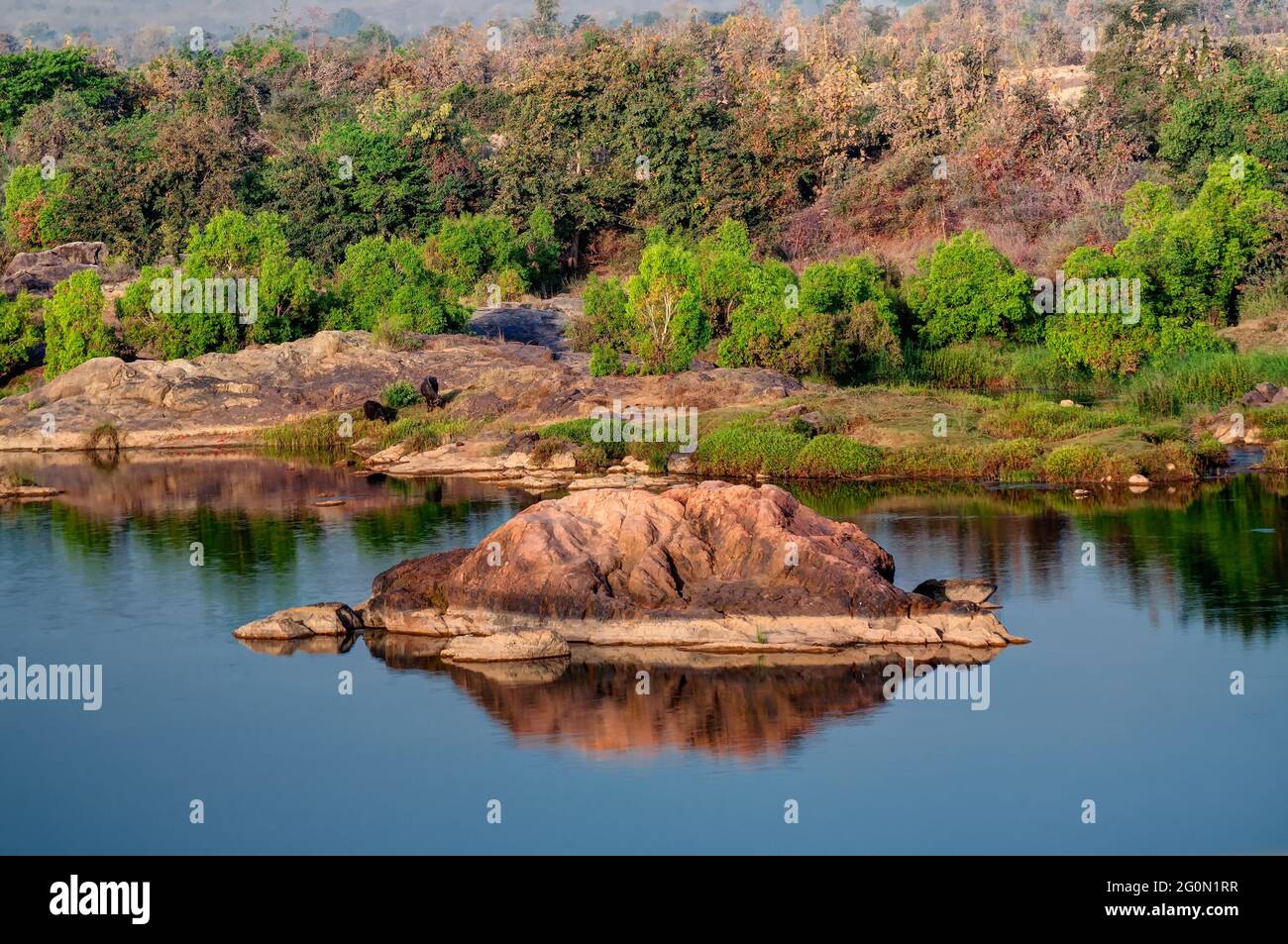 Madhya pradesh forest hi-res stock photography and images - Alamy