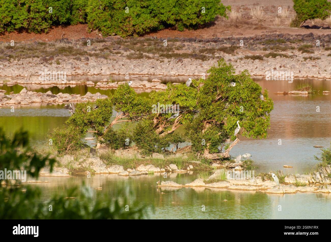 Beautiful Panna river and rocky riverbed at Panna National Park, Madhya ...