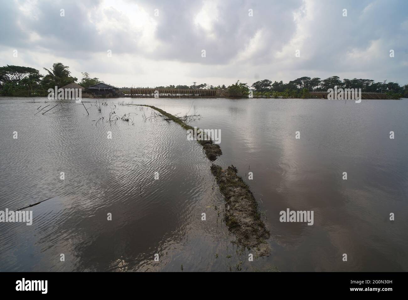 India paddy fields flood hi-res stock photography and images - Alamy
