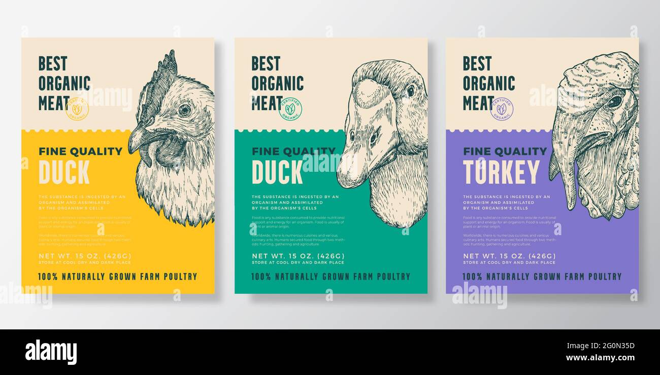 Birds Portrait Organic Poultry Vector Packaging Design or Label ...