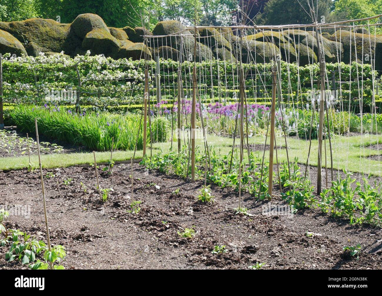 Walmer Castle, Kent, England Stock Photo - Alamy