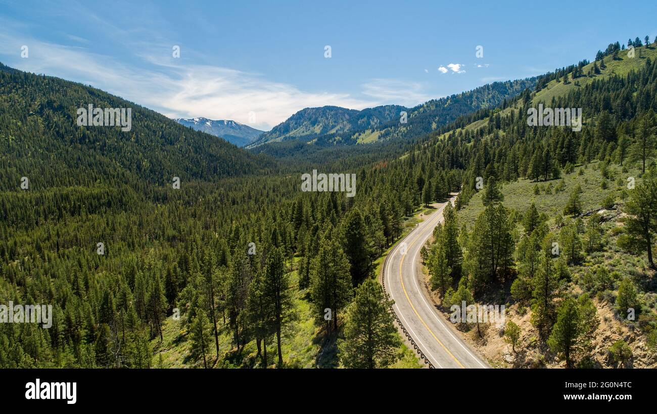 drive through the forest on a nice day Stock Photo - Alamy